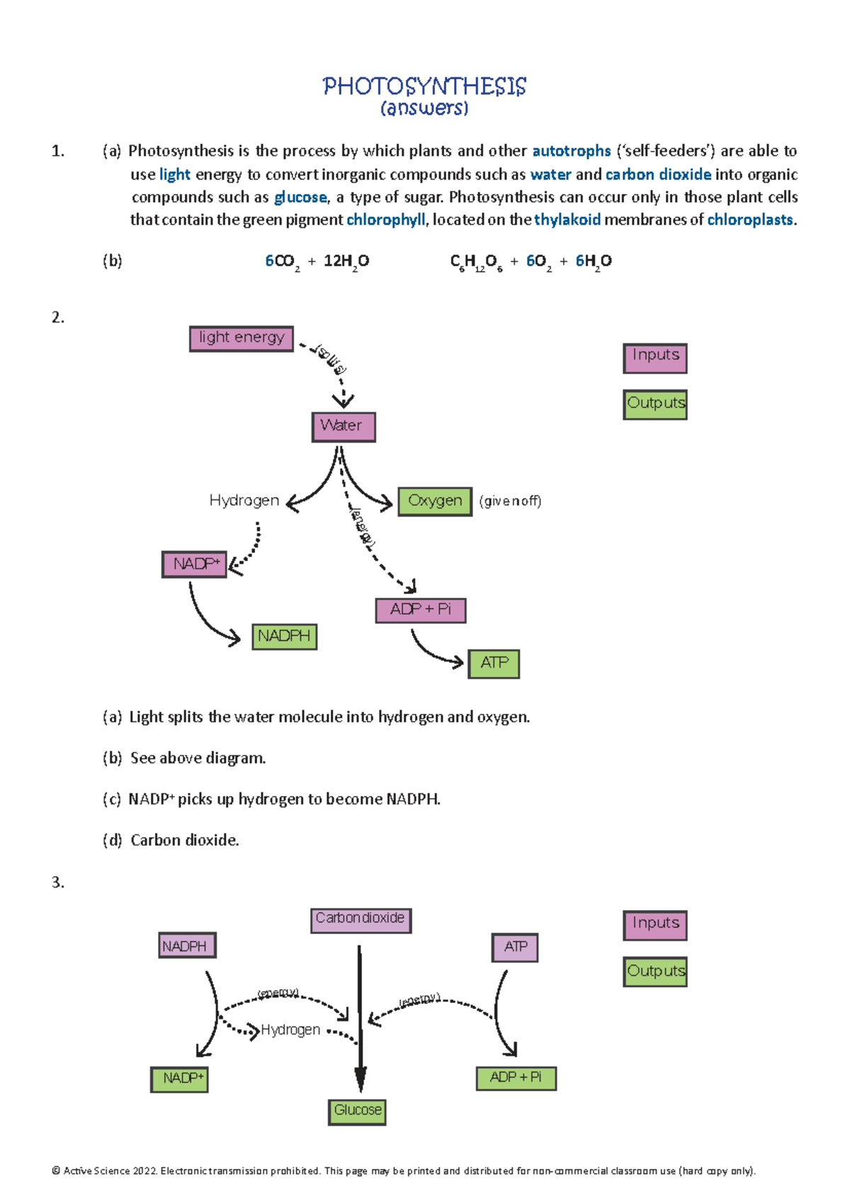 U3Ao S2 - Active Biology: Photosynthesis & Cellular Respiration Answers ...