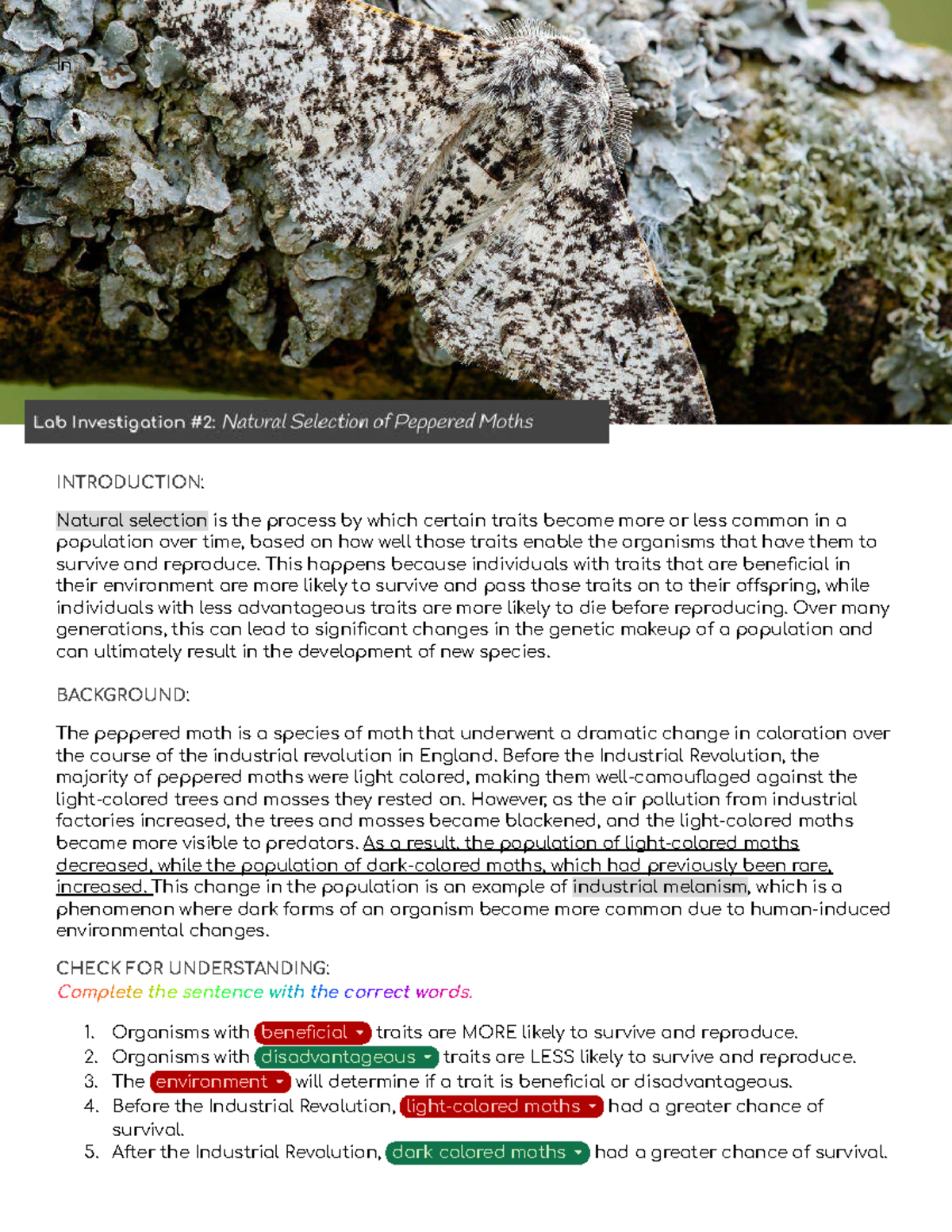 Day 20 - Lab Investigation #2: Natural Selection of Peppered Moths ...