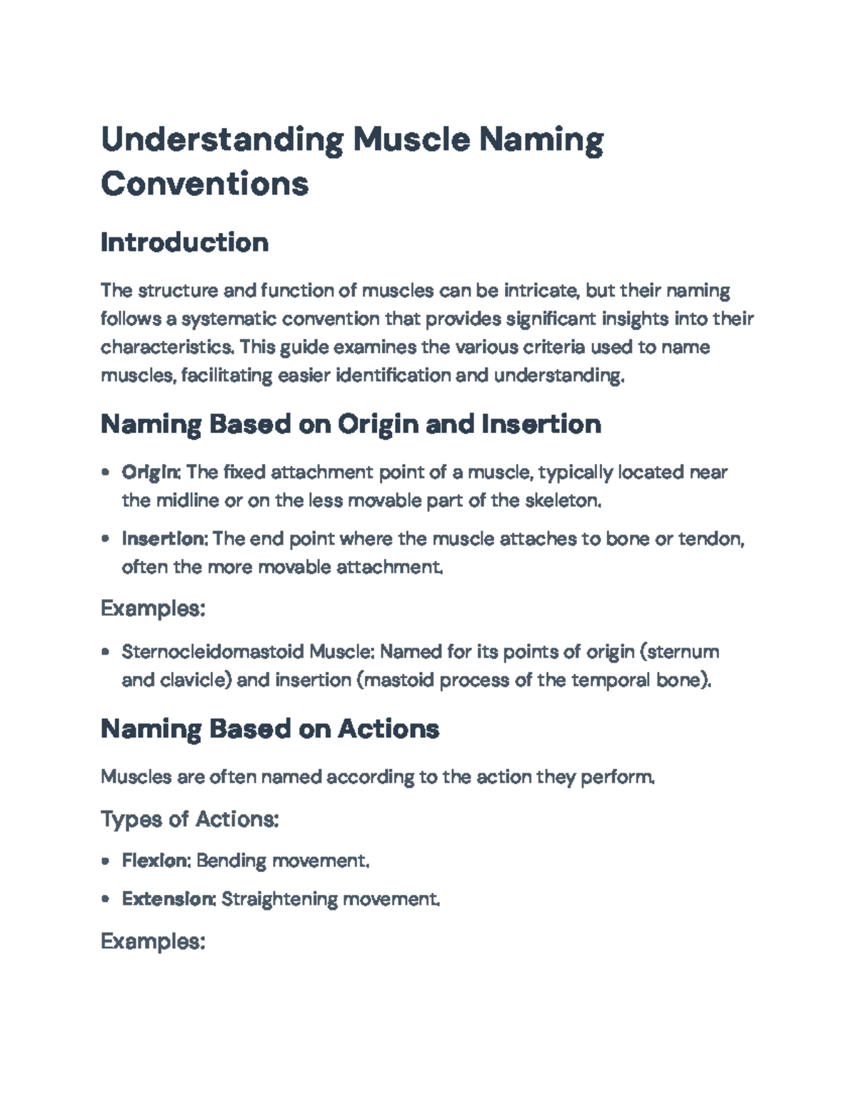 Muscle Naming Conventions: Understanding Structure and Function ...