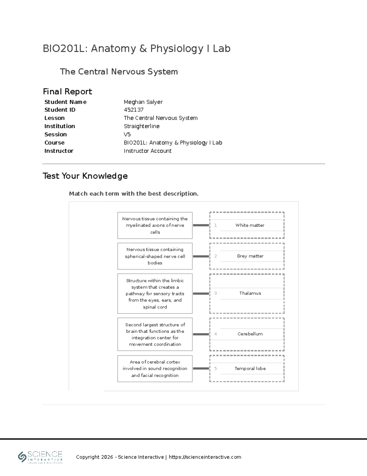 BIO201L: CNS Final Report - Anatomy & Physiology I Lab - Studocu