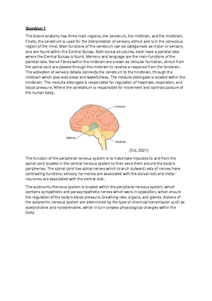 The Human Endocrine System Assignment Questions - All answers must be fully in your own words ...