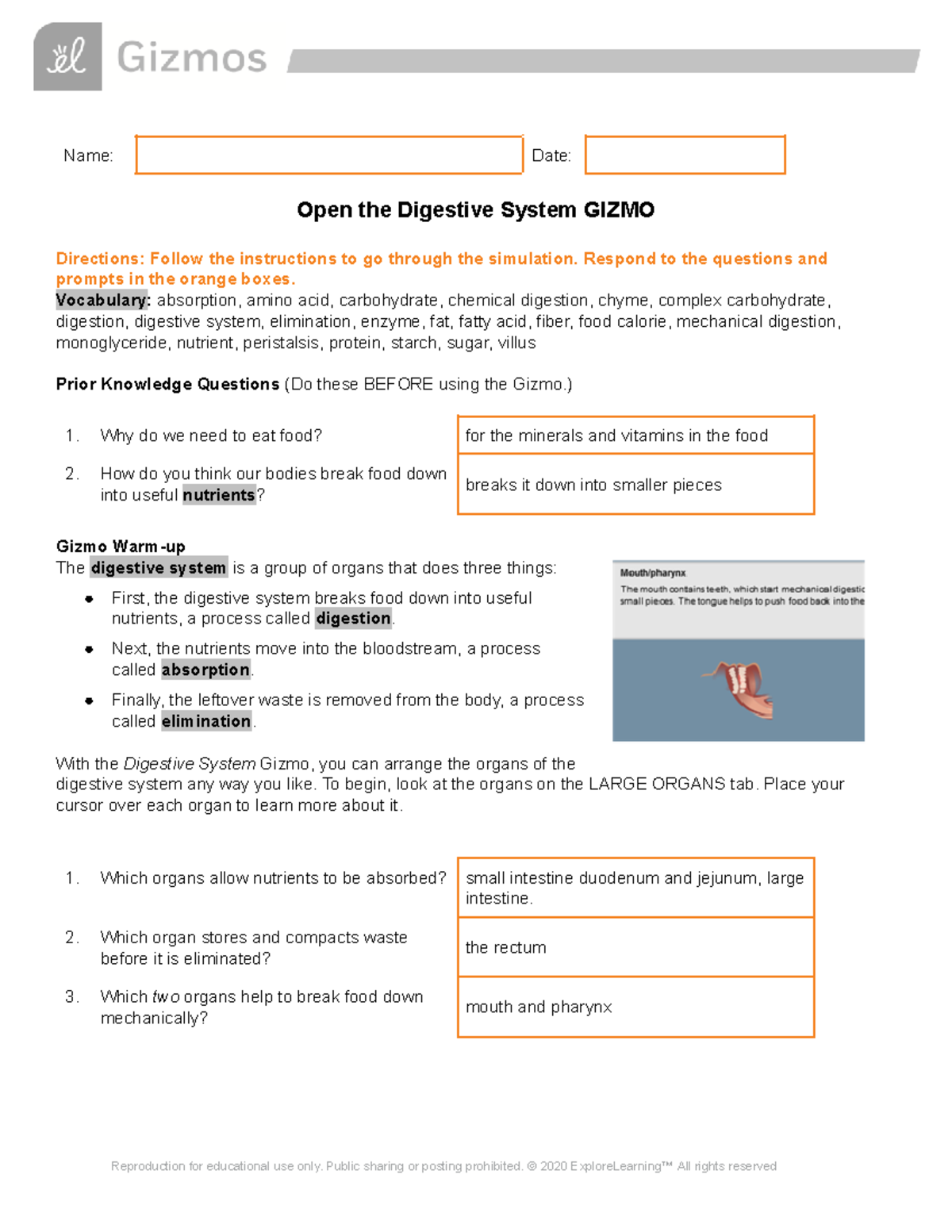 Digestive System GIZMO Exploration: Understanding Human Digestion - Studocu