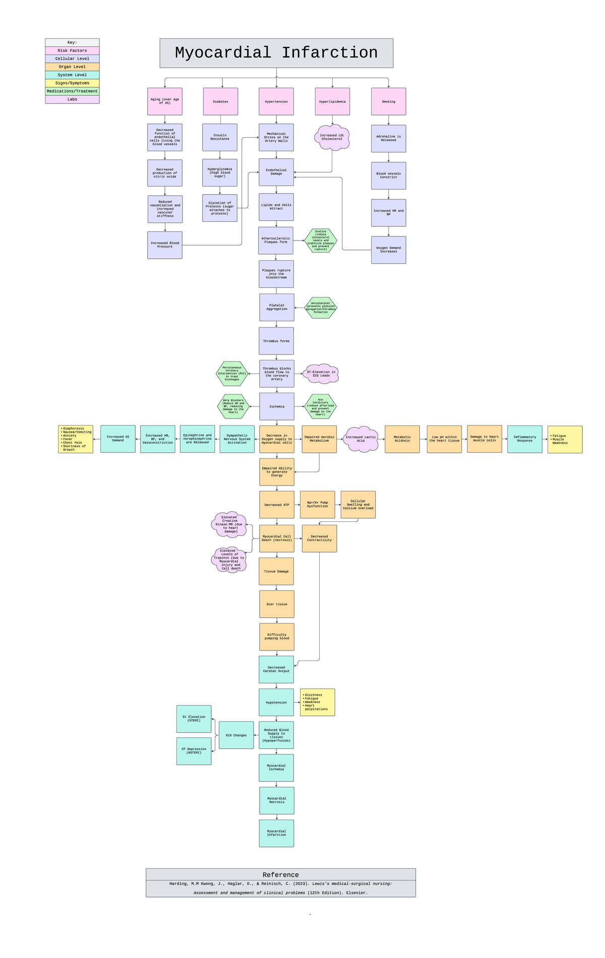 Key: Myocardial infarction risk factors and management strategies - Studocu