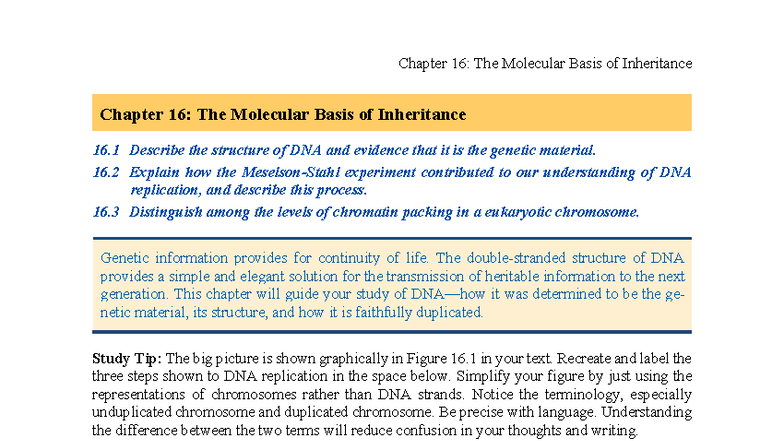 Campbell Biology Chapter 16: Molecular Basis of Inheritance Guide - Studocu