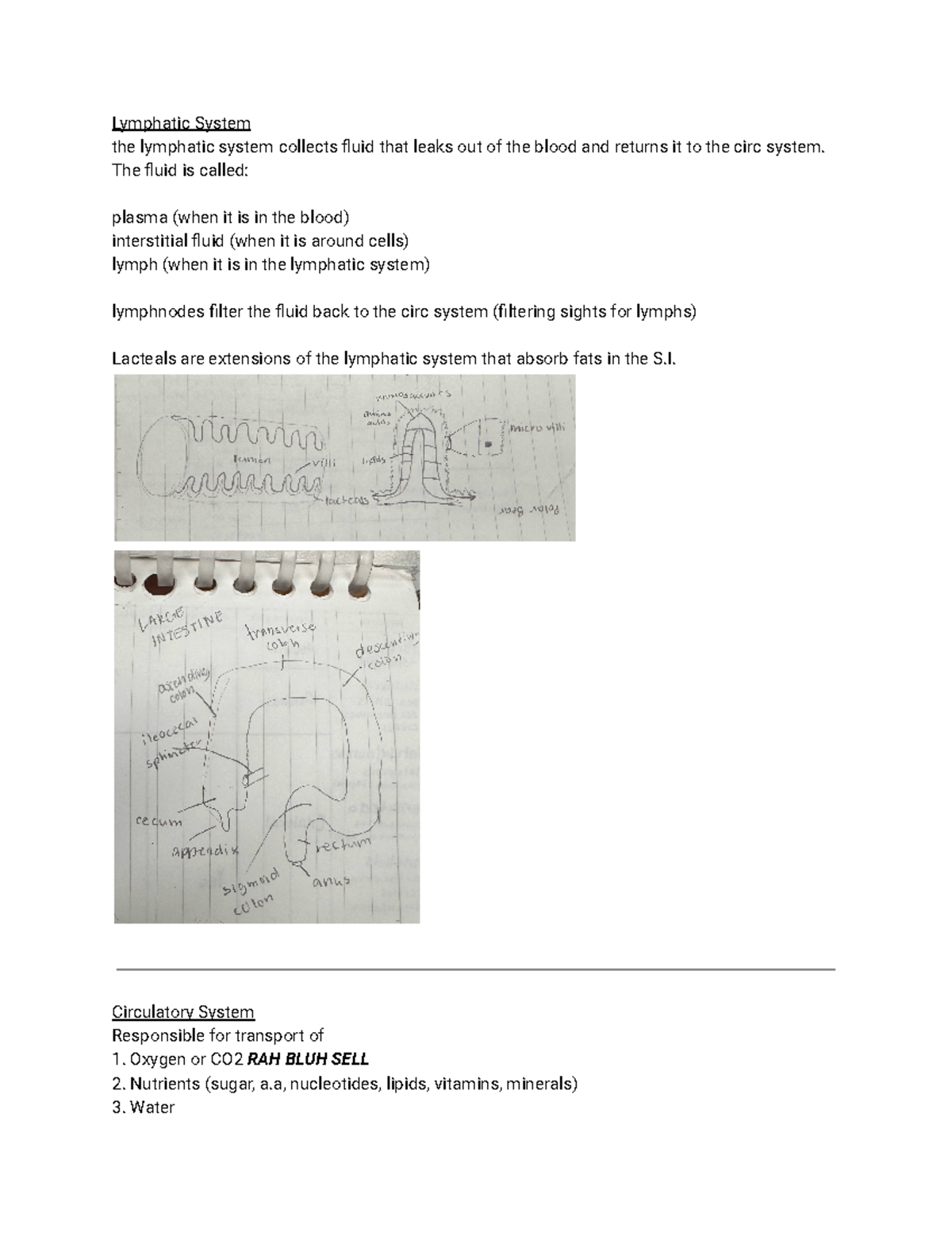 AP Biology Notes: Lymphatic, Circulatory, and Respiratory Systems ...