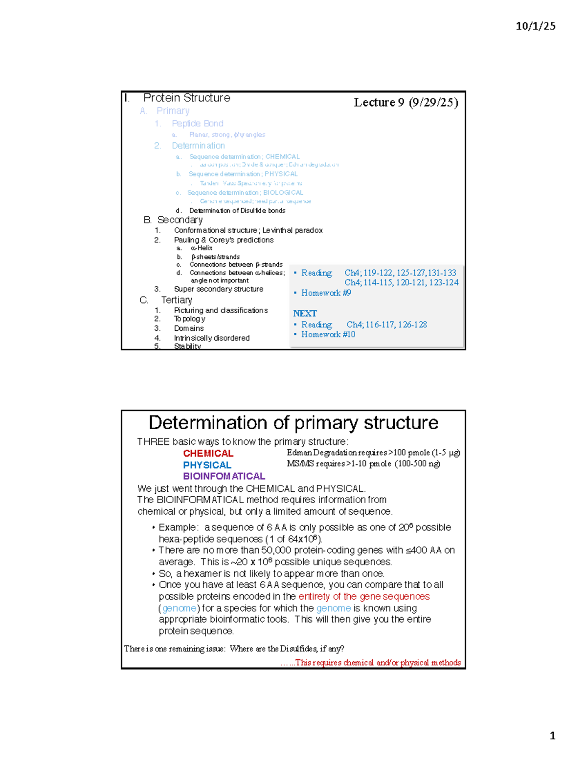 CHEM 9: Protein Structure Lecture Notes on Primary to Quaternary Levels ...