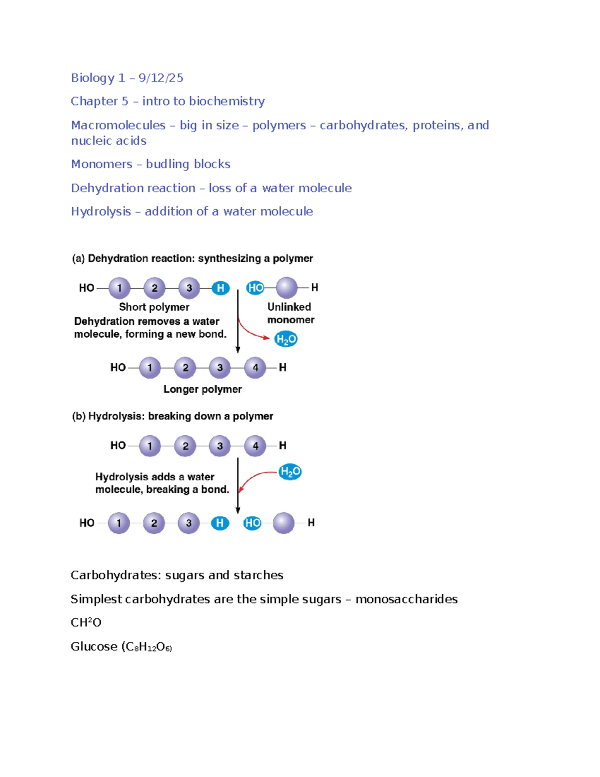 Biology 1 (Final Exam): Chapter 5 - Intro to Biochemistry ...