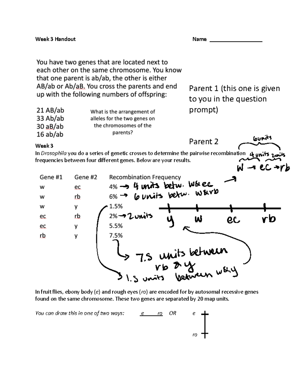 7B Handout: Week 3 Genetic Crosses in Drosophila - Studocu