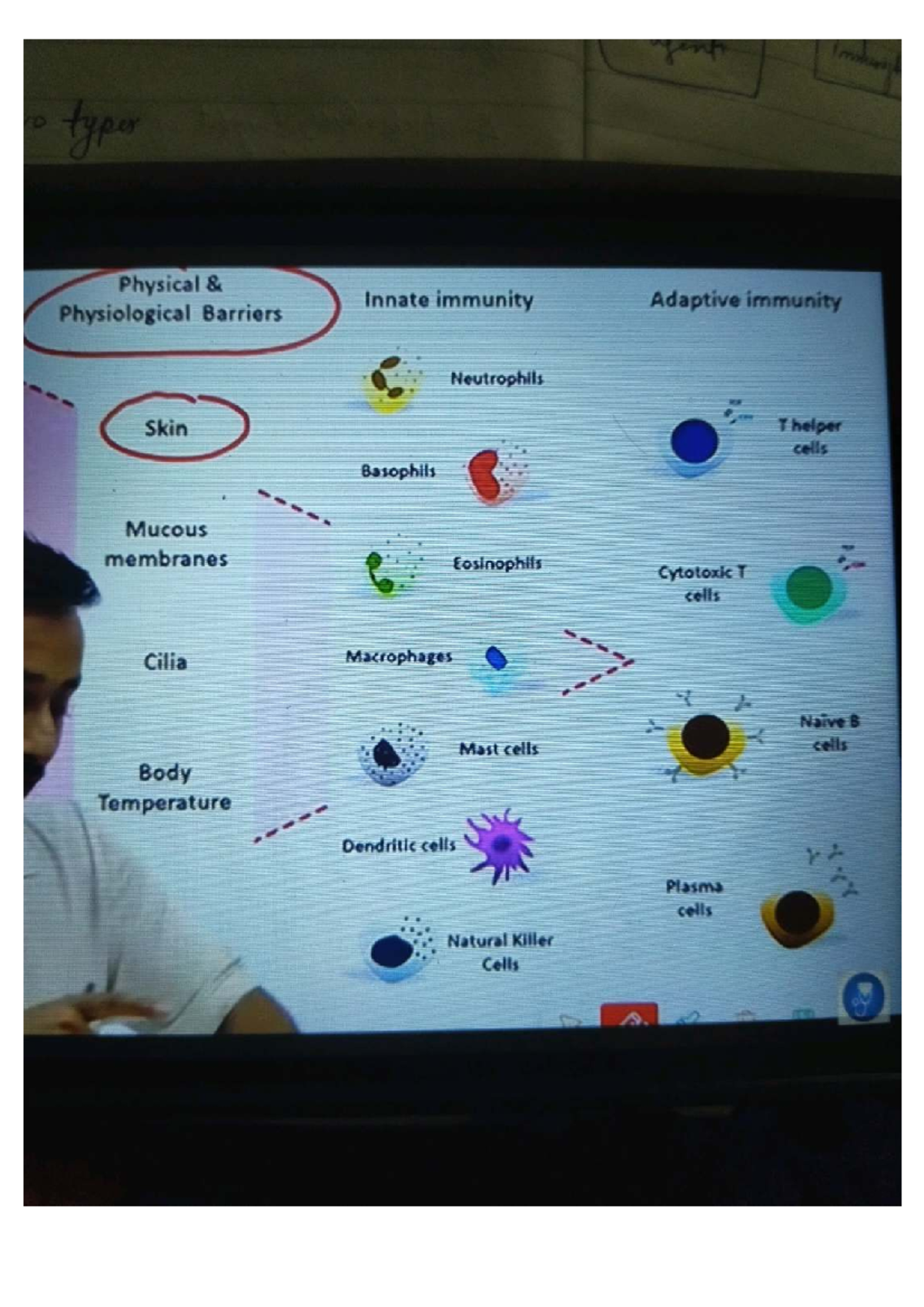 Innate Immunity Overview: Key Concepts and Mechanisms - Studocu