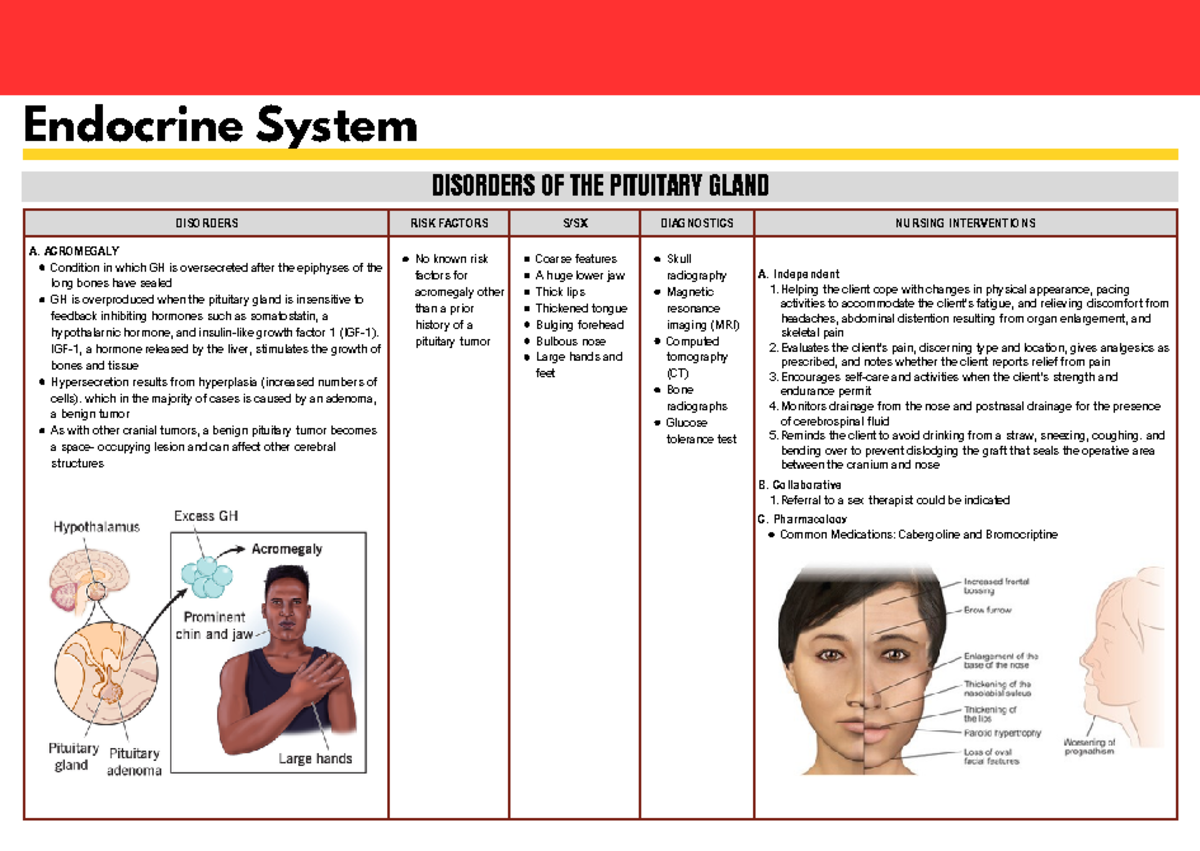 Endocrine Disorder -1-2 - Endocrine System DISORDERS RISK FACTORS S/SX ...