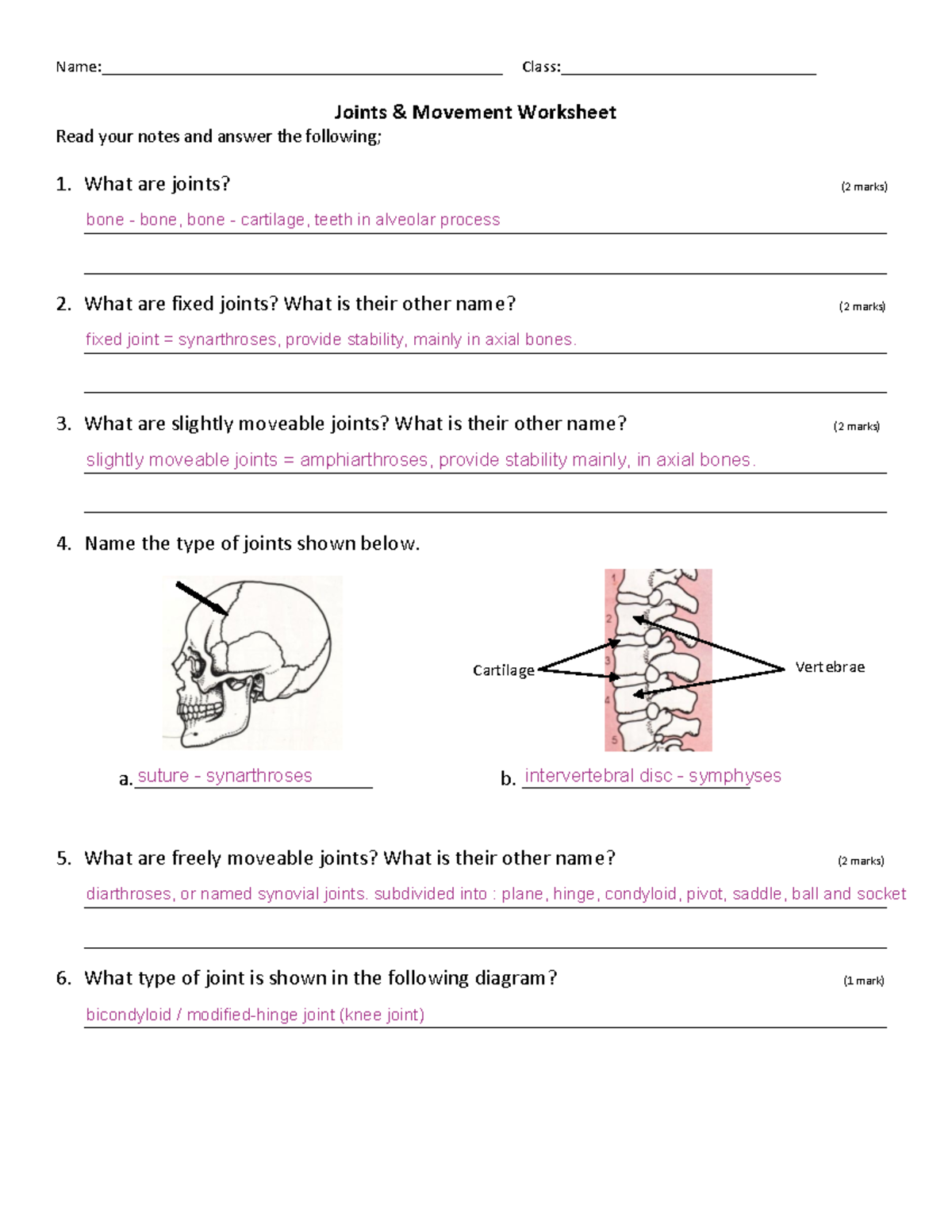 Joints movement worksheet - Joints & Movement Worksheet Read your notes ...