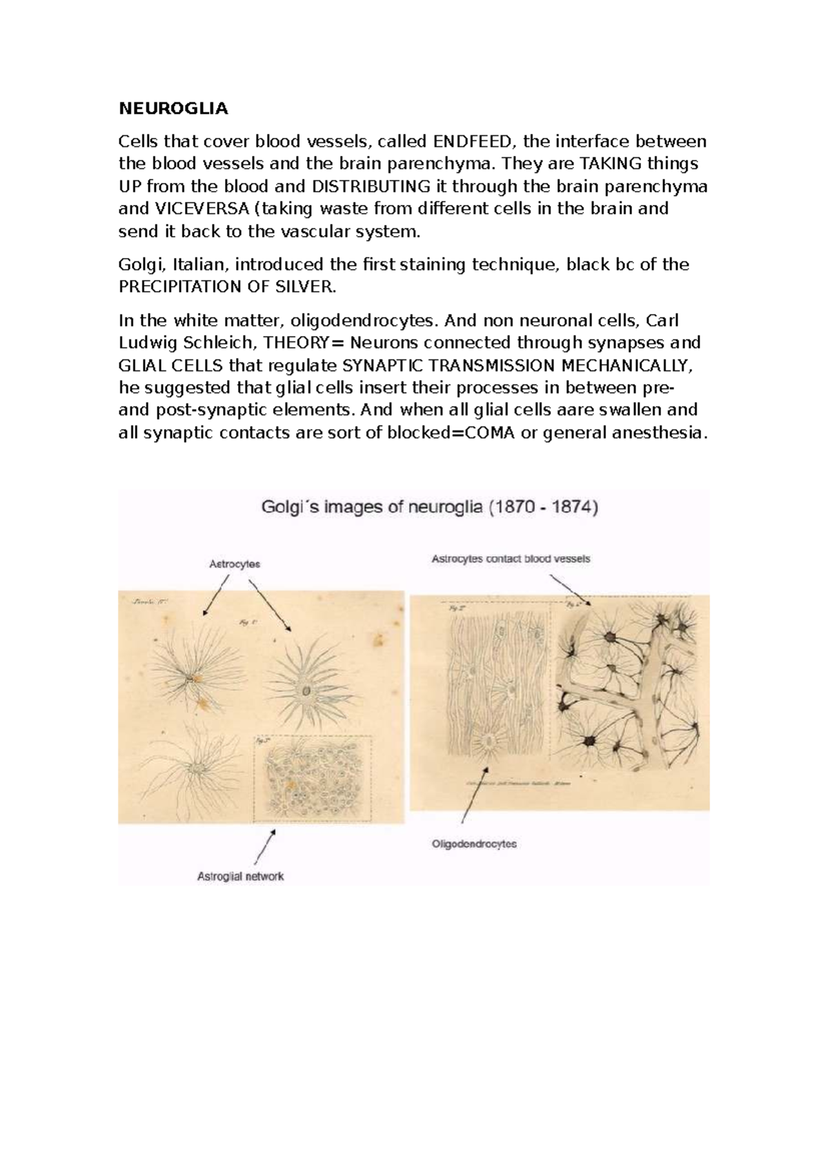 Neuroglia Lecture 14: Understanding Glial Cells and Their Functions ...