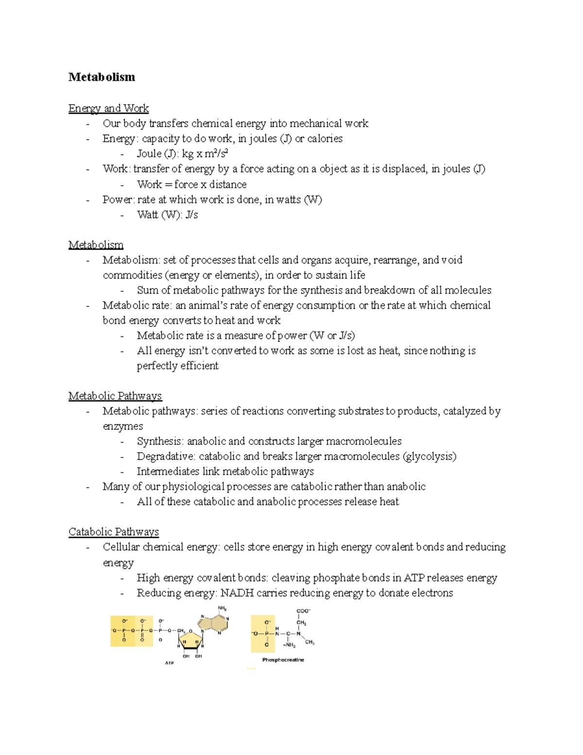 Chapter 2 Notes: Rationalism, Scientific Method, and Research Ethics ...