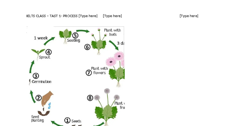 IELTS CLASS: Flowering Plant Life Cycle Process - Studocu