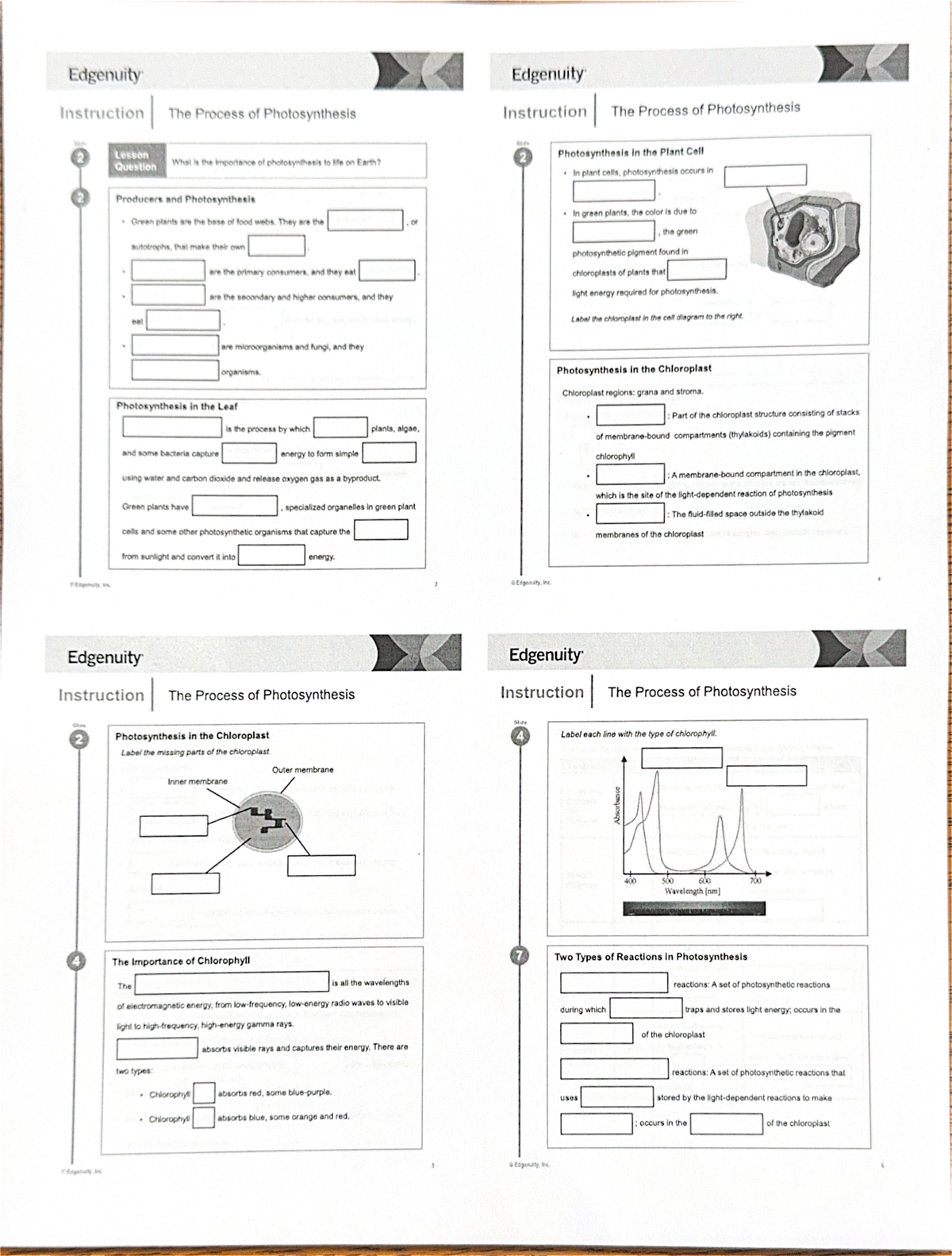 Photosynthesis & Cellular Respiration: Guided Notes (Biology 101) - Studocu