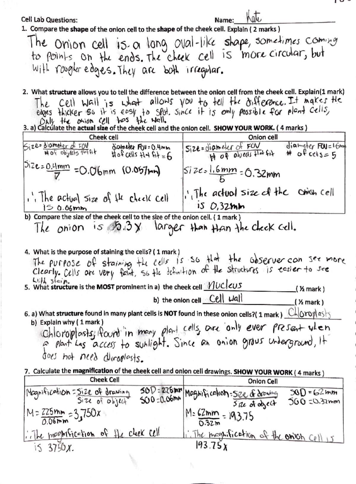 Cell Lab 2021 - Cell lab - Cell Lab Questions: Name: Kate 1. Compare ...