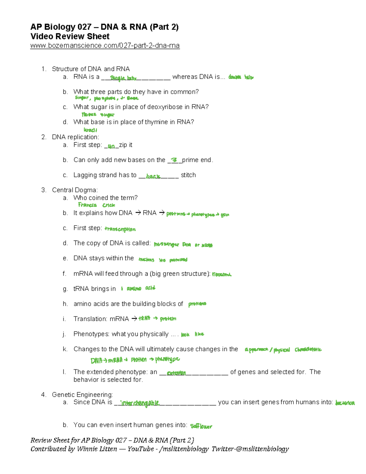 AP Biology 027 - Review Sheet for DNA & RNA (Part 2) - Studocu