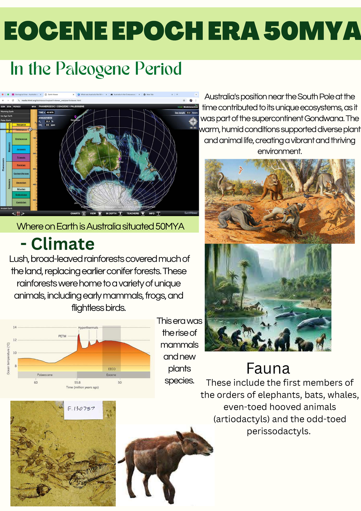 Exploring Australia's Ecosystems 50 Million Years Ago: A Study on the ...