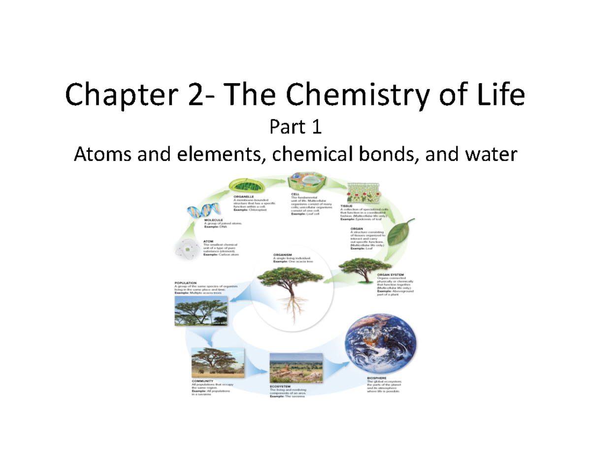 Chapter 2: The Chemistry of Life - Essential Concepts & Learning Goals ...