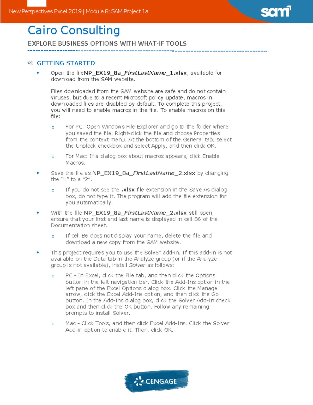 Cairo Consulting Project Instructions NP EX19 8a: What-If Analysis ...