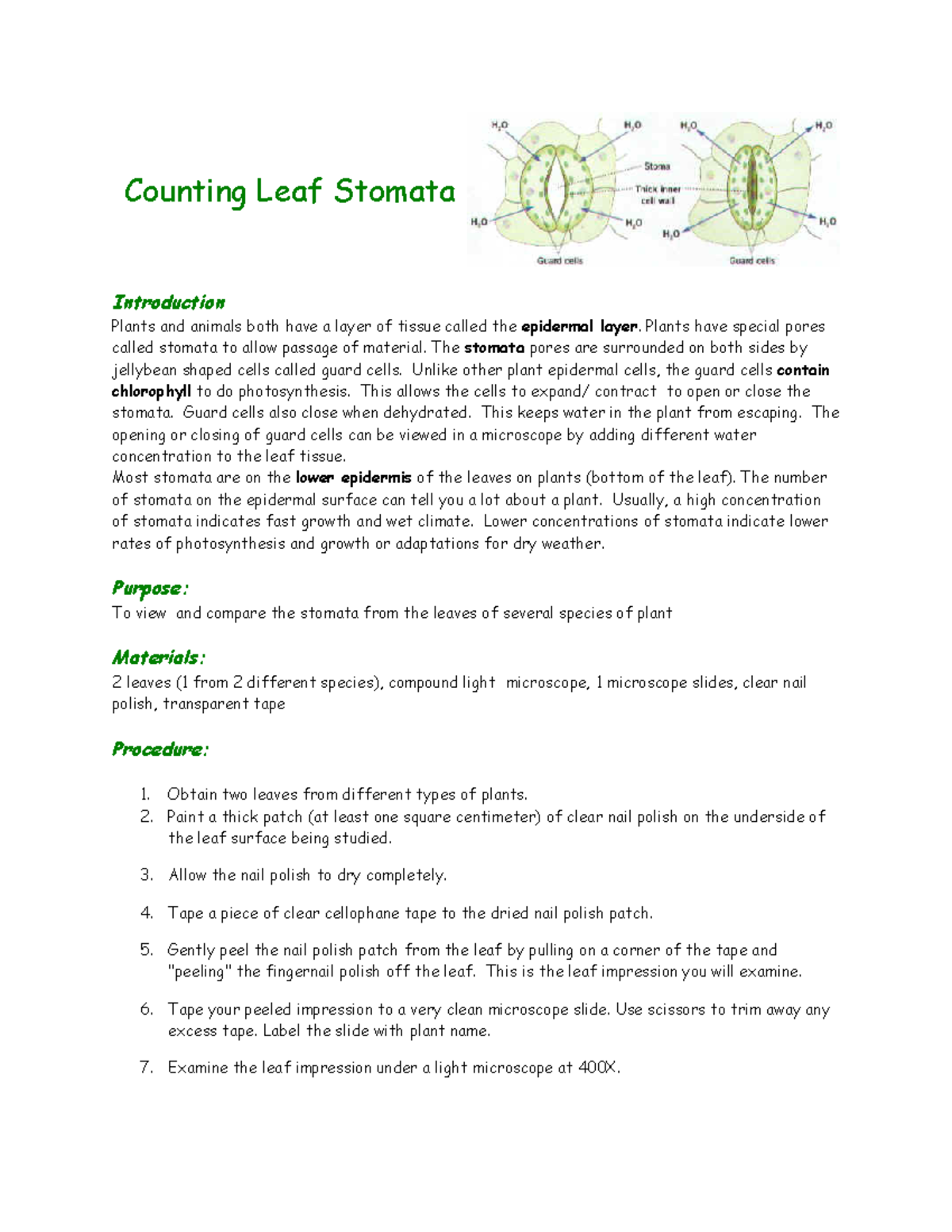Stomata Lab: Observation Techniques & Leaf Comparison Experiment - Studocu