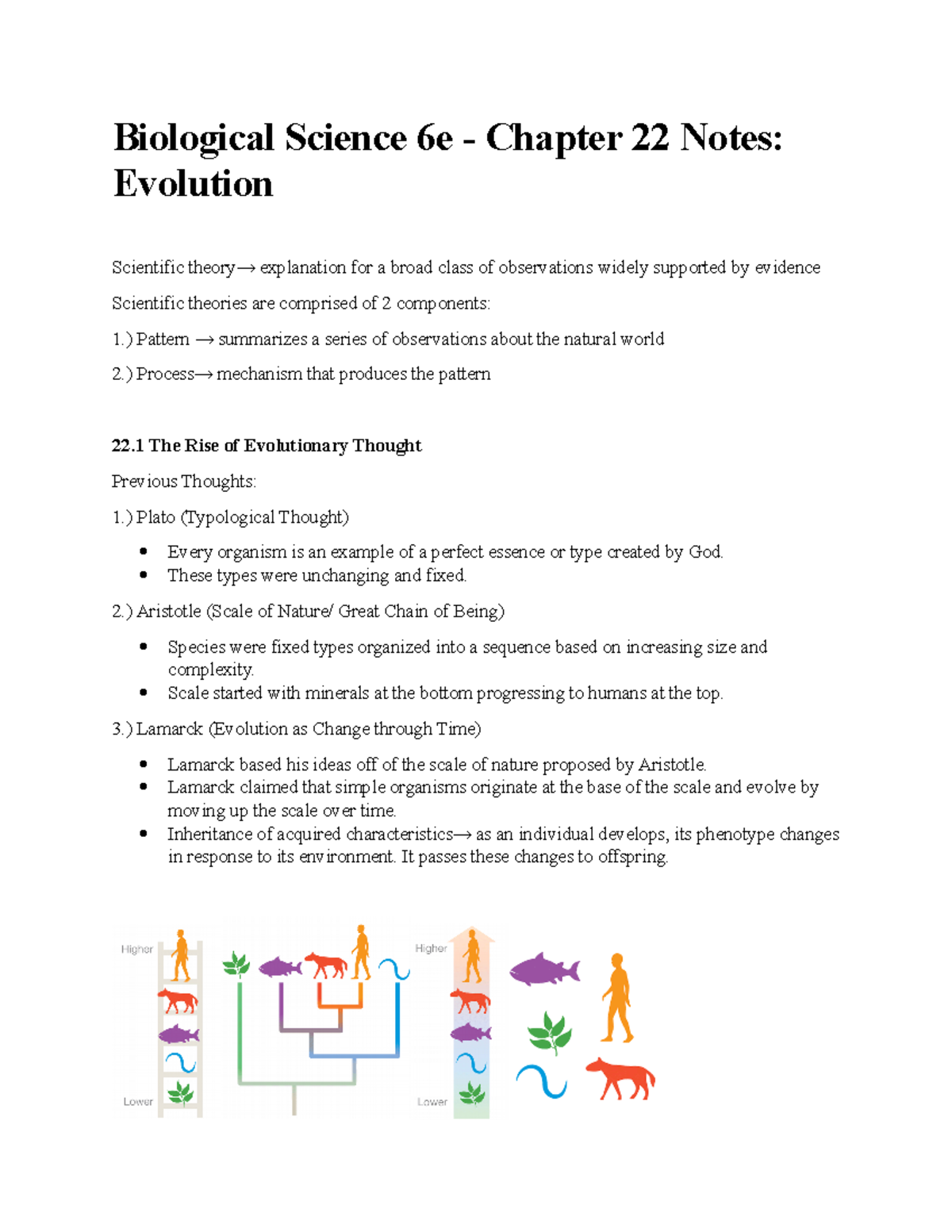 Biological Science 6e: Chapter 22 Evolution Notes & Summary - Studocu