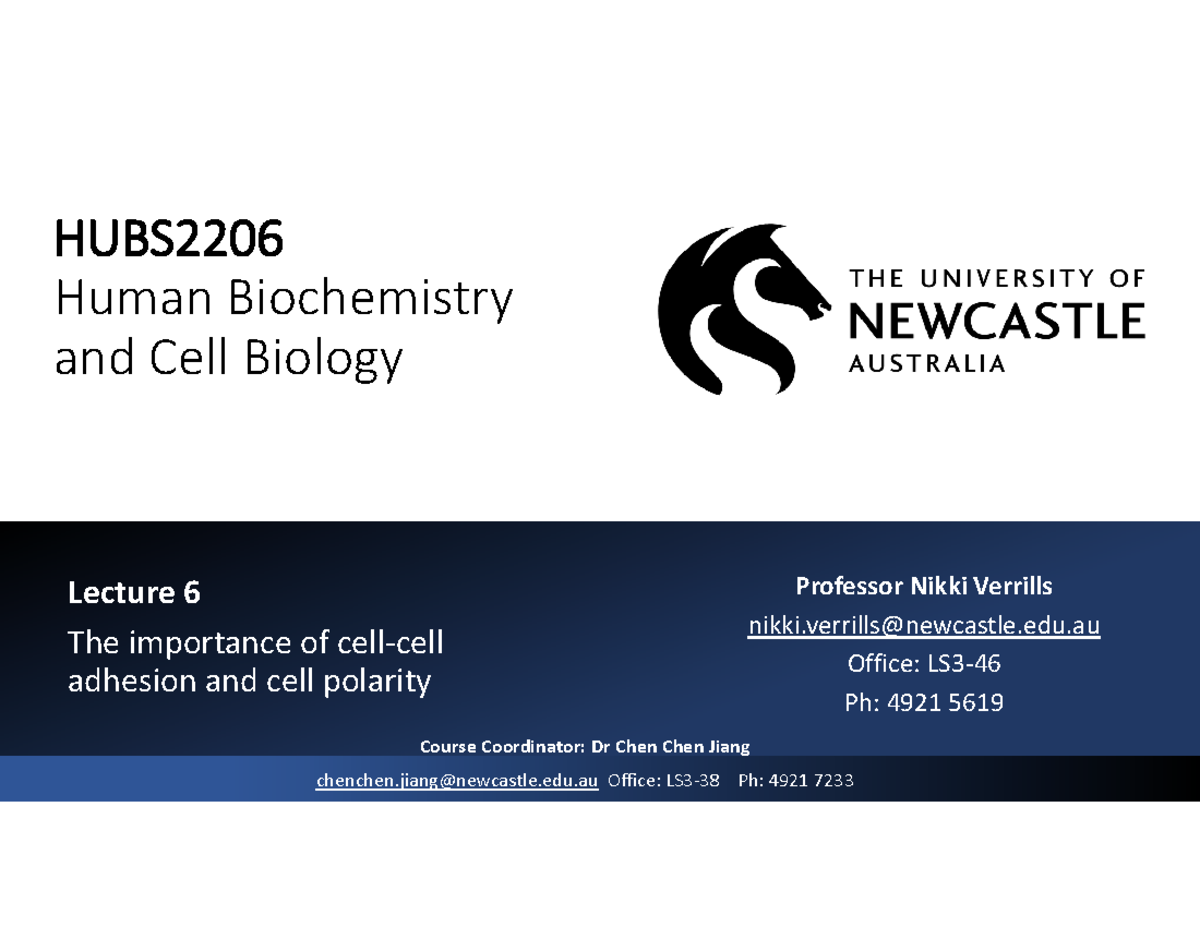 HUBS2206 Human Biochemistry & Cell Biology Lecture 6: Cell Adhesion ...