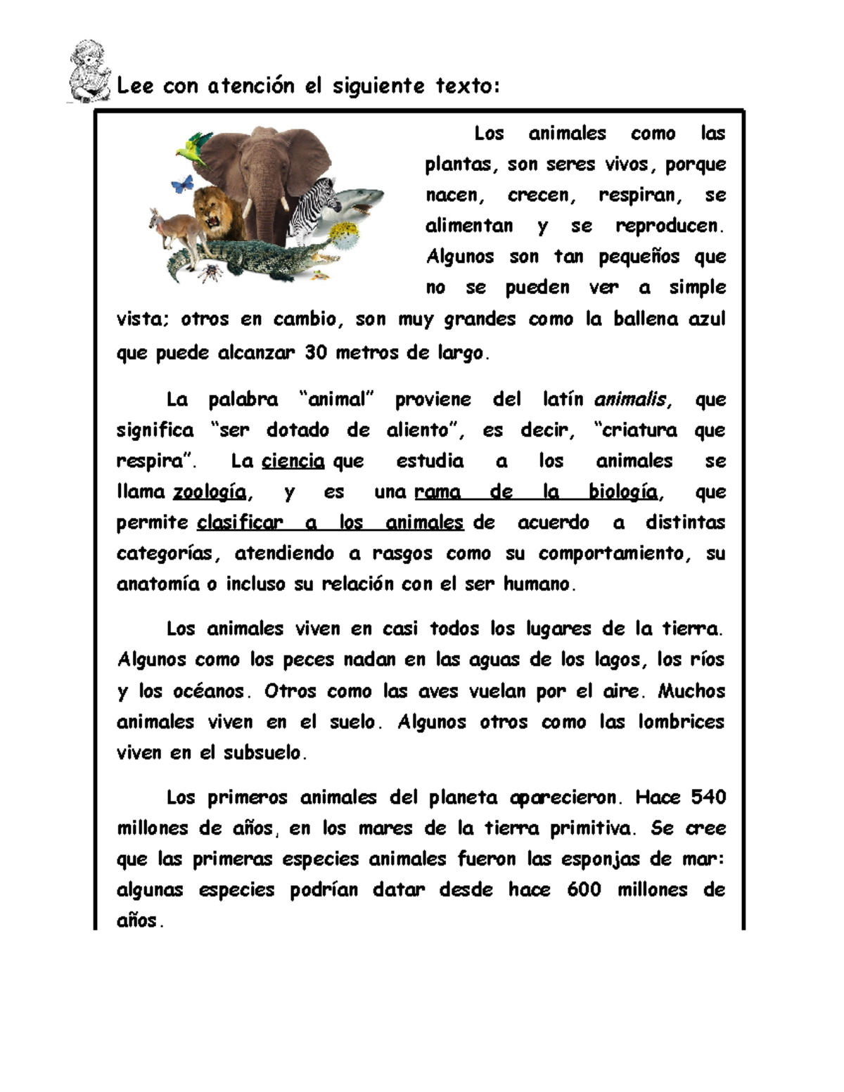 Comprensión Lectora: Texto sobre los Animales y su Biodiversidad - Studocu