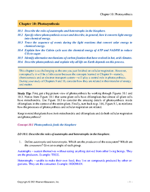 Cell Cycle, Mitosis & Meiosis Review - Bio 101 Concepts - Studocu
