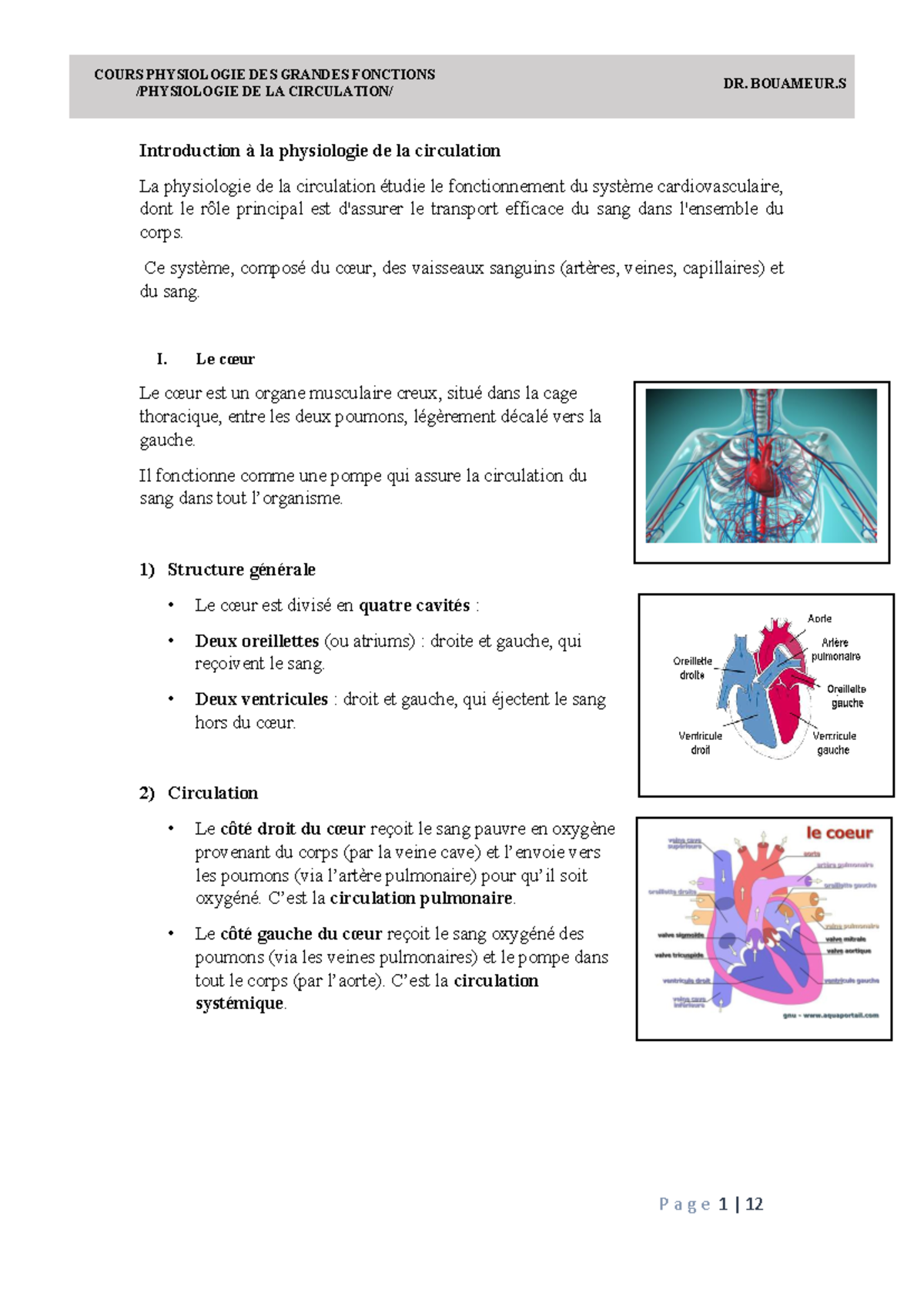 COURS PHYSIOLOGIE DES GRANDES FONCTIONS - DR. BOUAMEUR.S: Circulation ...