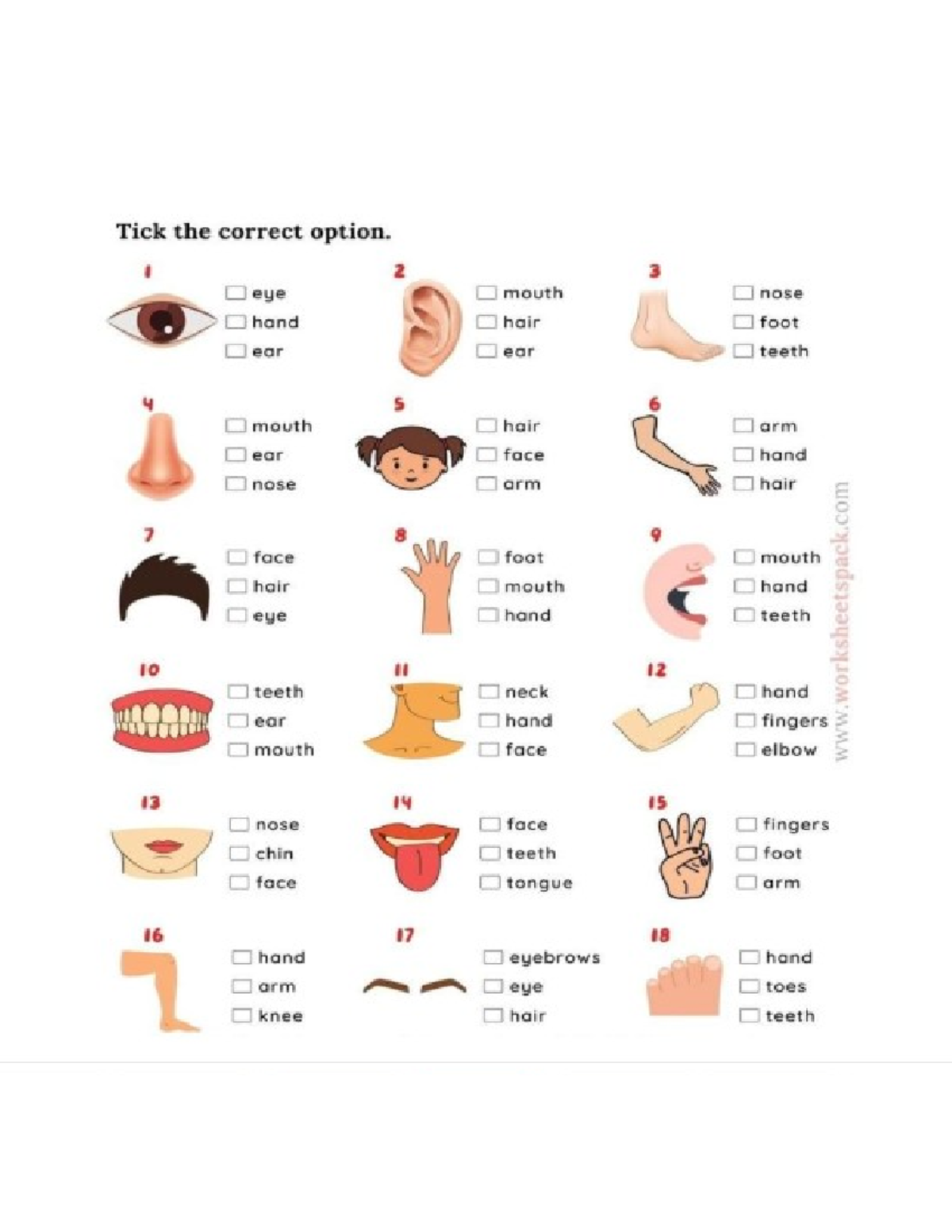 Inglis - Apunte: Body Parts and Vowel Completion Exercise - Studocu