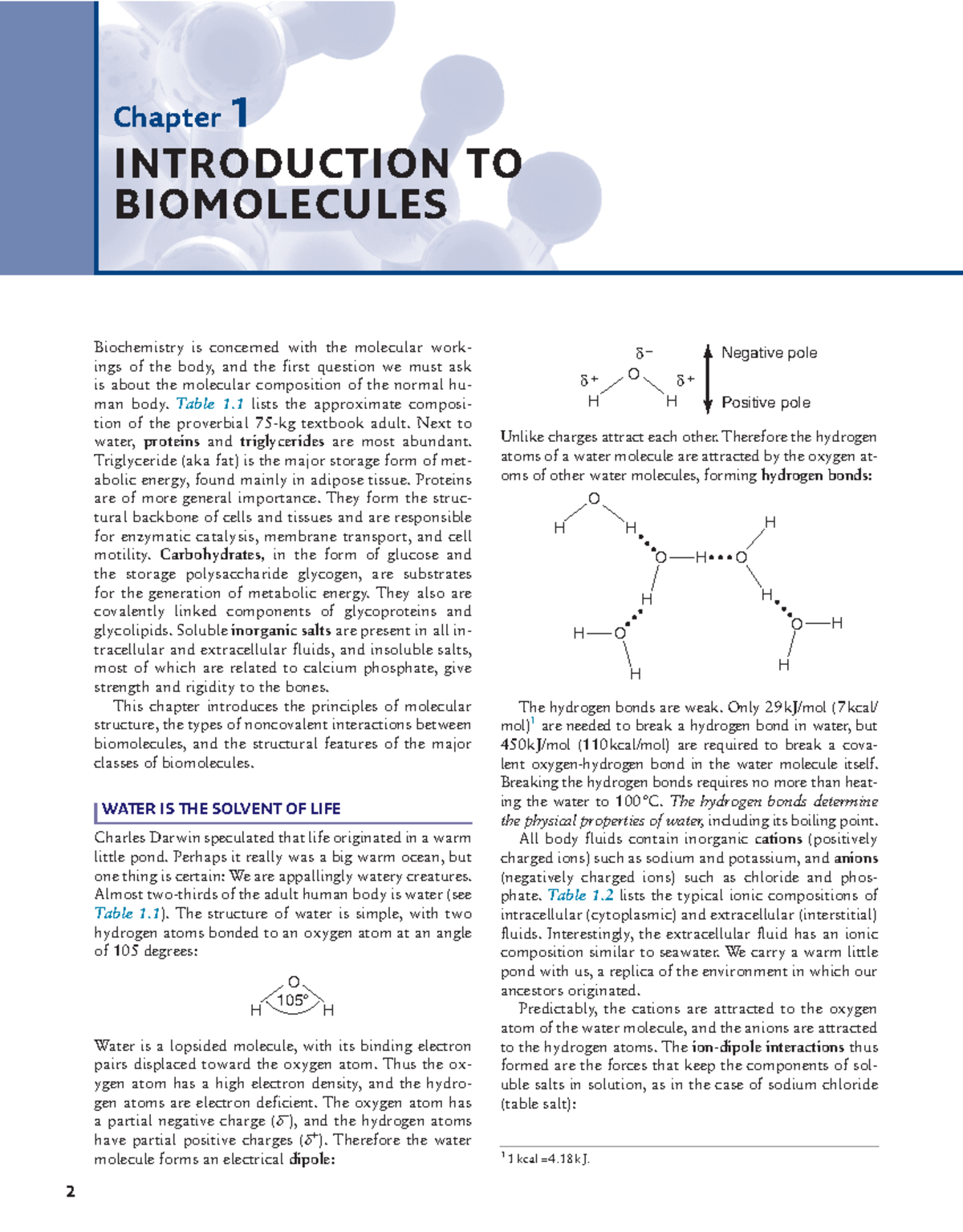 Principles of Biomolecules: Structure, Function, and Interactions ...