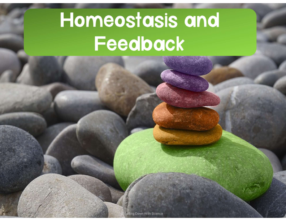 AP Biology Unit 4: Homeostasis & Feedback Mechanisms Overview - Studocu