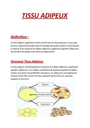 ENtérocyte - ENTEROCYTE Definition : Les entérocytes sont des cellules ...
