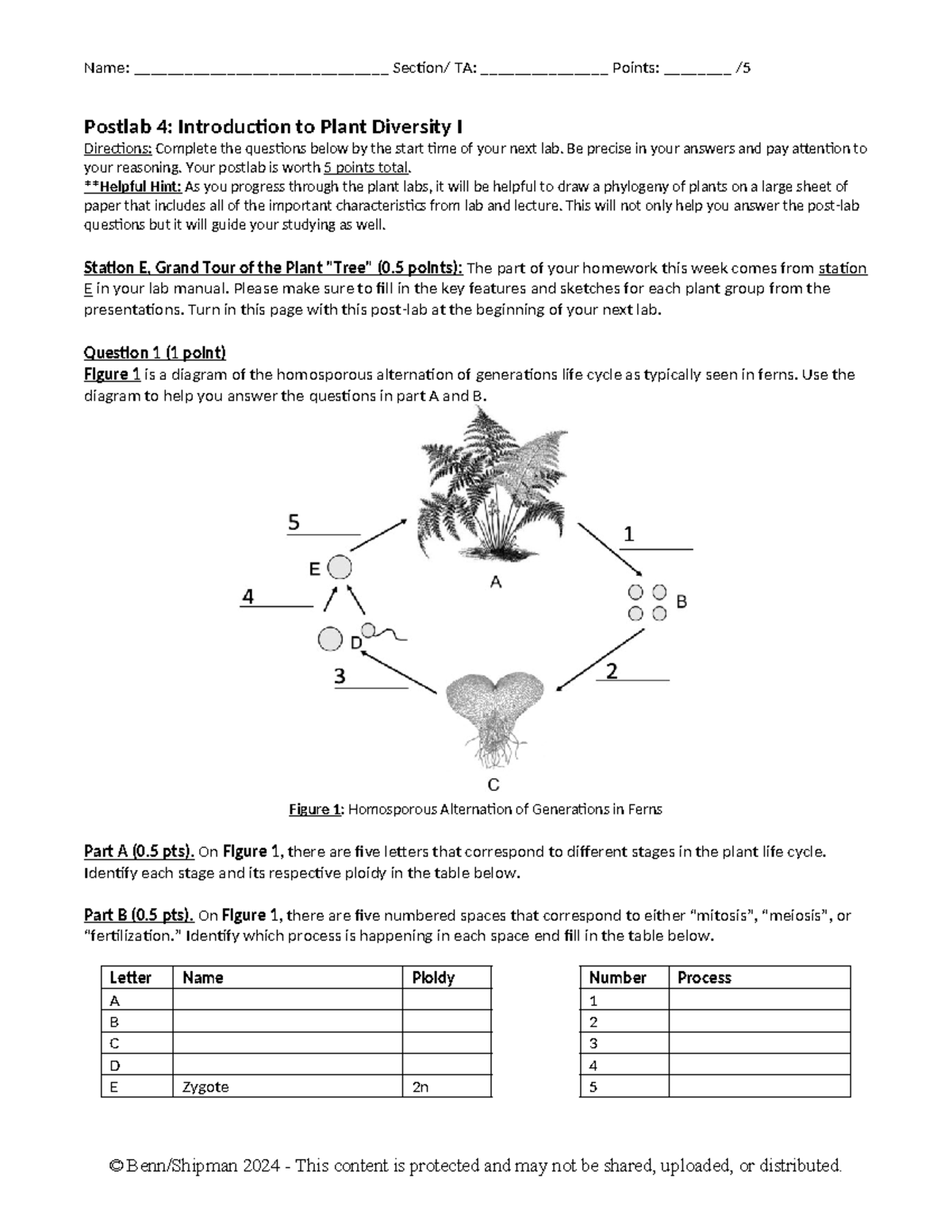 Postlab 4 - W24 - Plant Diversity I Overview and Exercises - Studocu