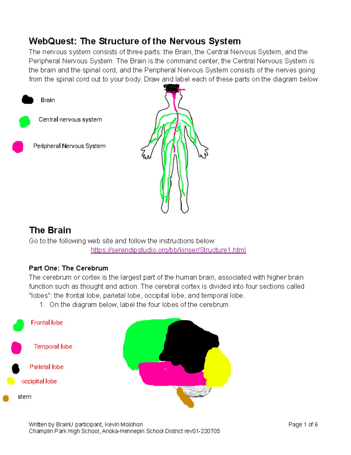 WebQuest: Understanding the Structure of the Nervous System - Studocu