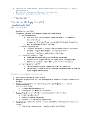 Ch 6 Integumentary System Notes - Chapter 6 Class Notes and Study Guide ...