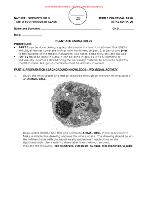 2025 Grade 9 TERM 1 Content & Activities - Natural Sciences Grade 9 ...
