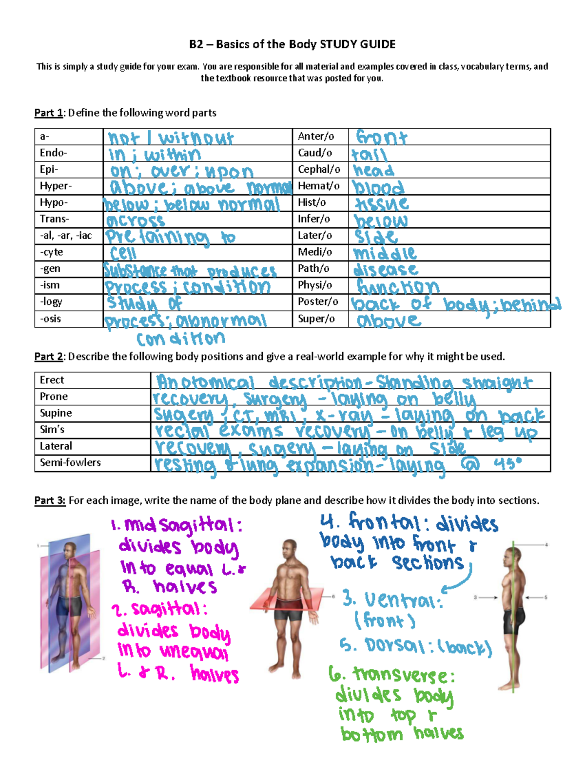 B2 Body Basics Exam Study Guide: Key Terms & Concepts - Studocu