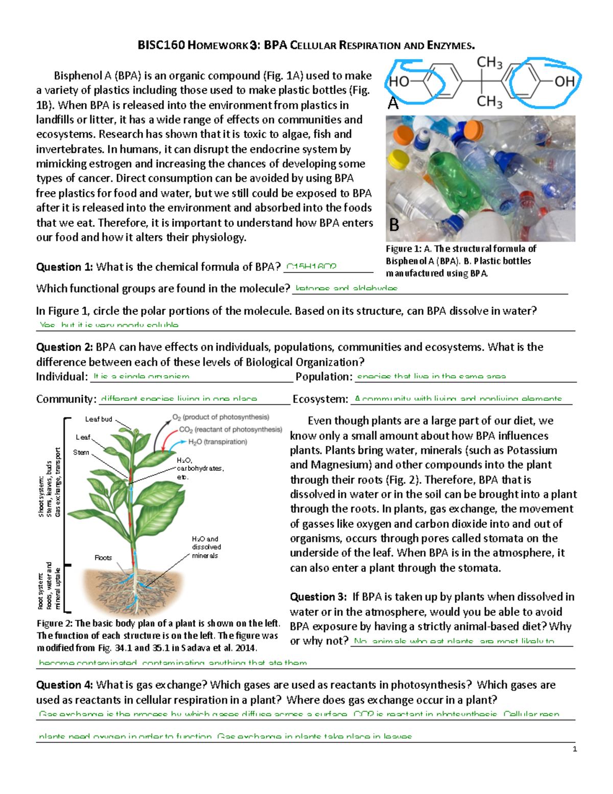 BISC160 Homework 3: Effects of BPA on Cellular Respiration & Enzymes ...