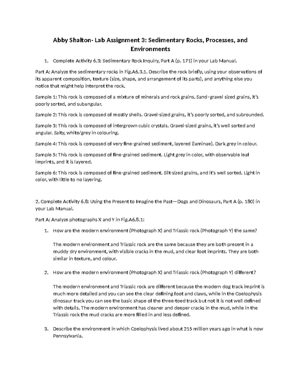 Lab Assignment 4: Analysis of Sedimentary Rocks and Processes - Studocu