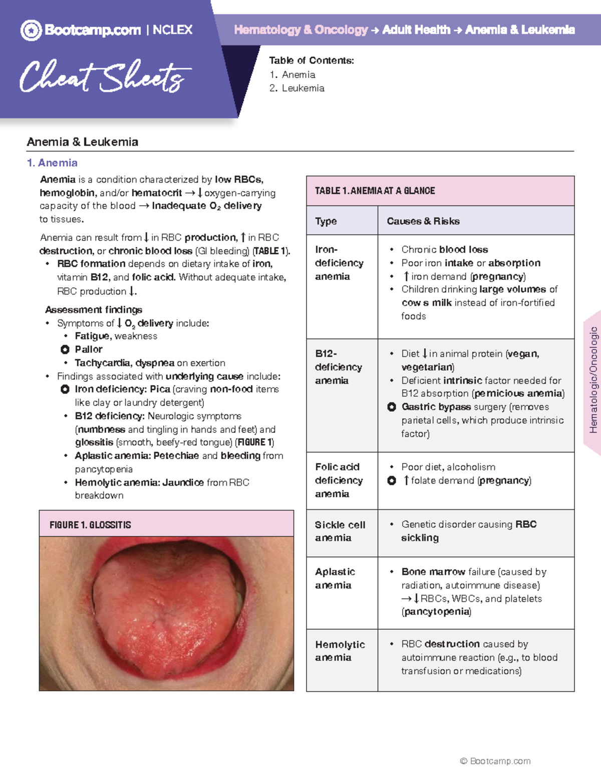 Anemia & Leukemia Cheat Sheet: Key Concepts & Nursing Interventions ...