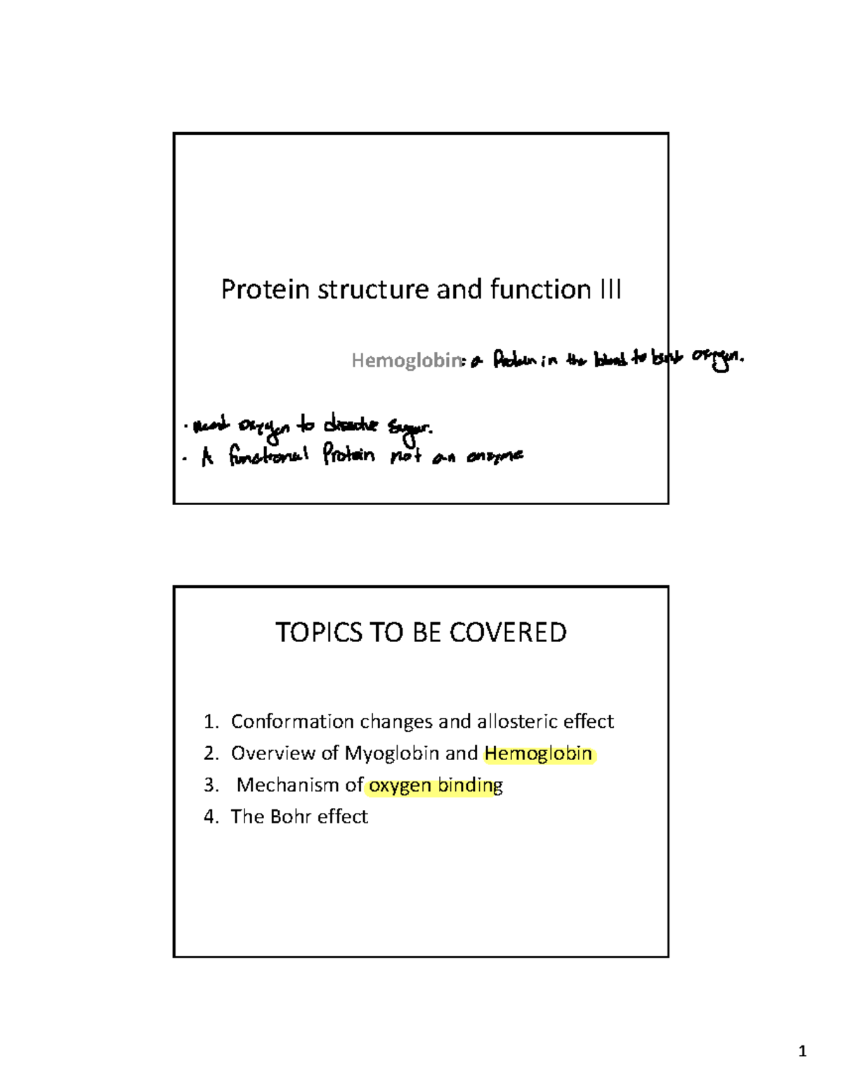 Protein Structure and Function: Myoglobin & Hemoglobin Overview - Studocu