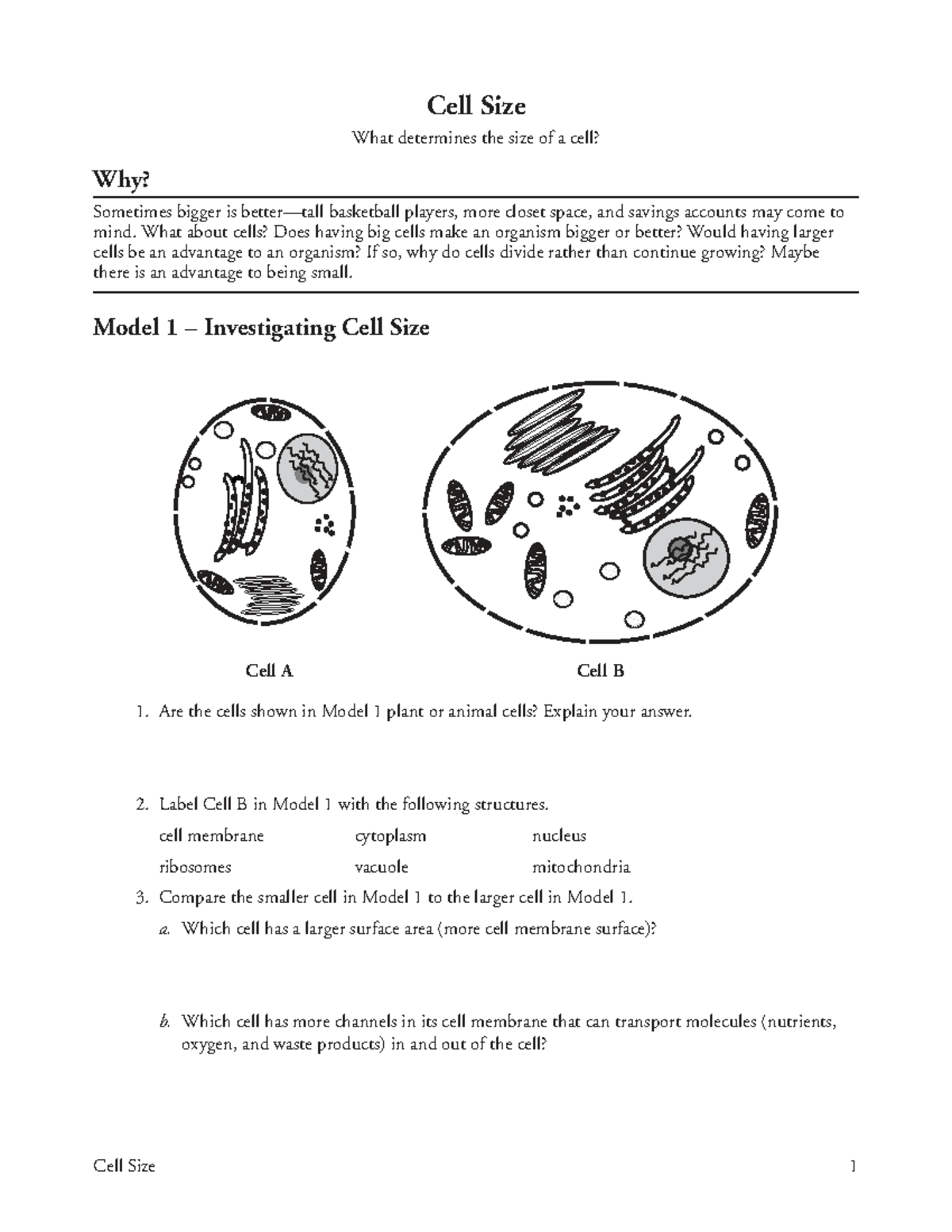 Cell Size: Investigating Factors Influencing Cell Dimensions - Studocu