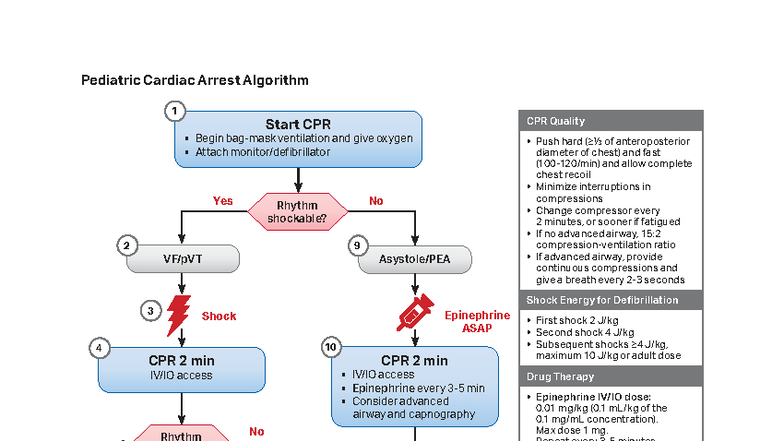 Algoritmo PALS: Pediatric Cardiac Arrest Management Guide - Studocu