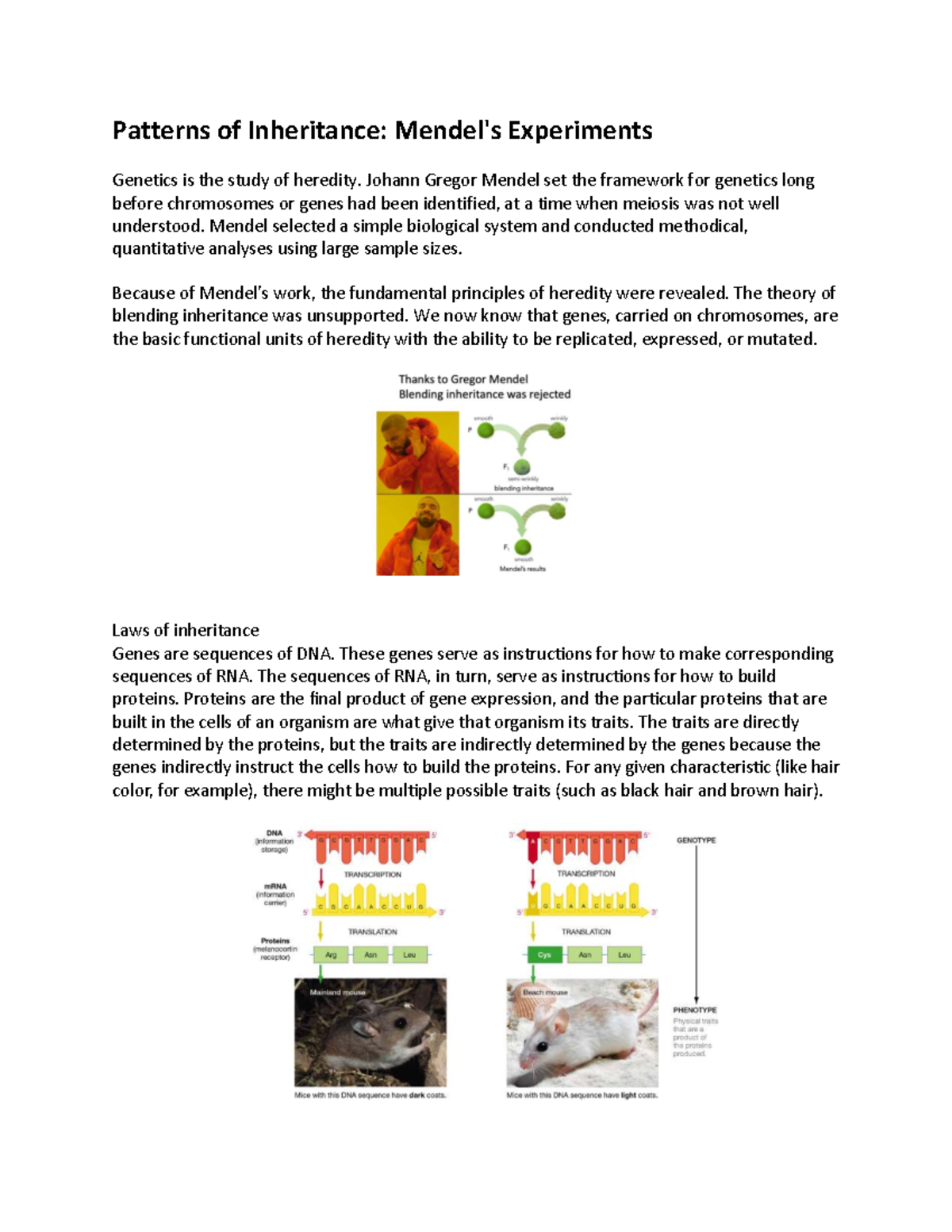 Genetics Study Guide V5: Patterns of Inheritance and Mendelian Laws ...