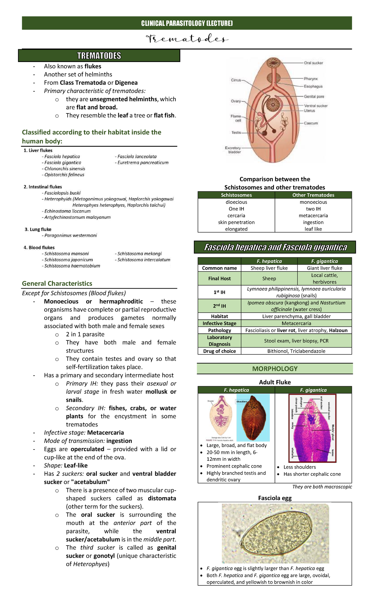 Parasitology (CLINICAL PARASITOLOGY) Finals Study Notes - Studocu