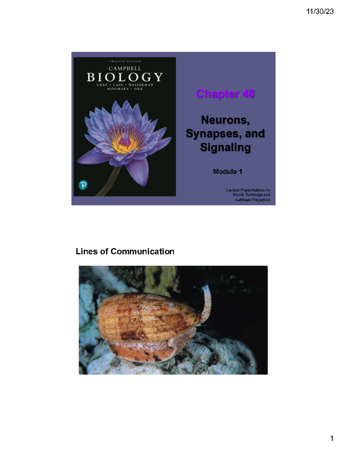 Lecture Presentation 48: Neurons, Synapses, and Signaling FA25 - Studocu