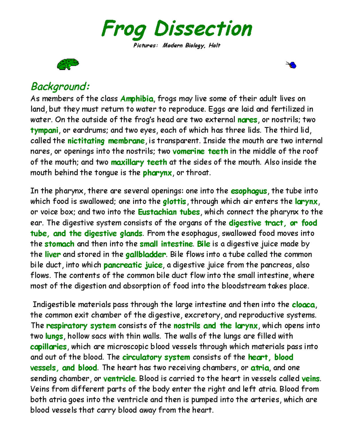 Frog Dissection Lab Directions for Basic Biology - Frog Dissection ...