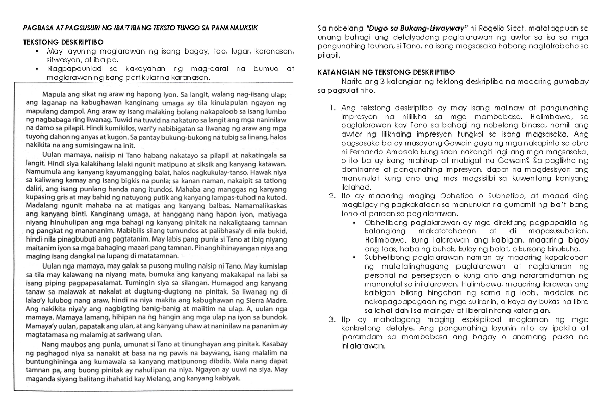 TEKSTONG DESKRIPTIBO: KATANGIAN AT PAGSUSURI NG MGA HALIMBAWA - Studocu
